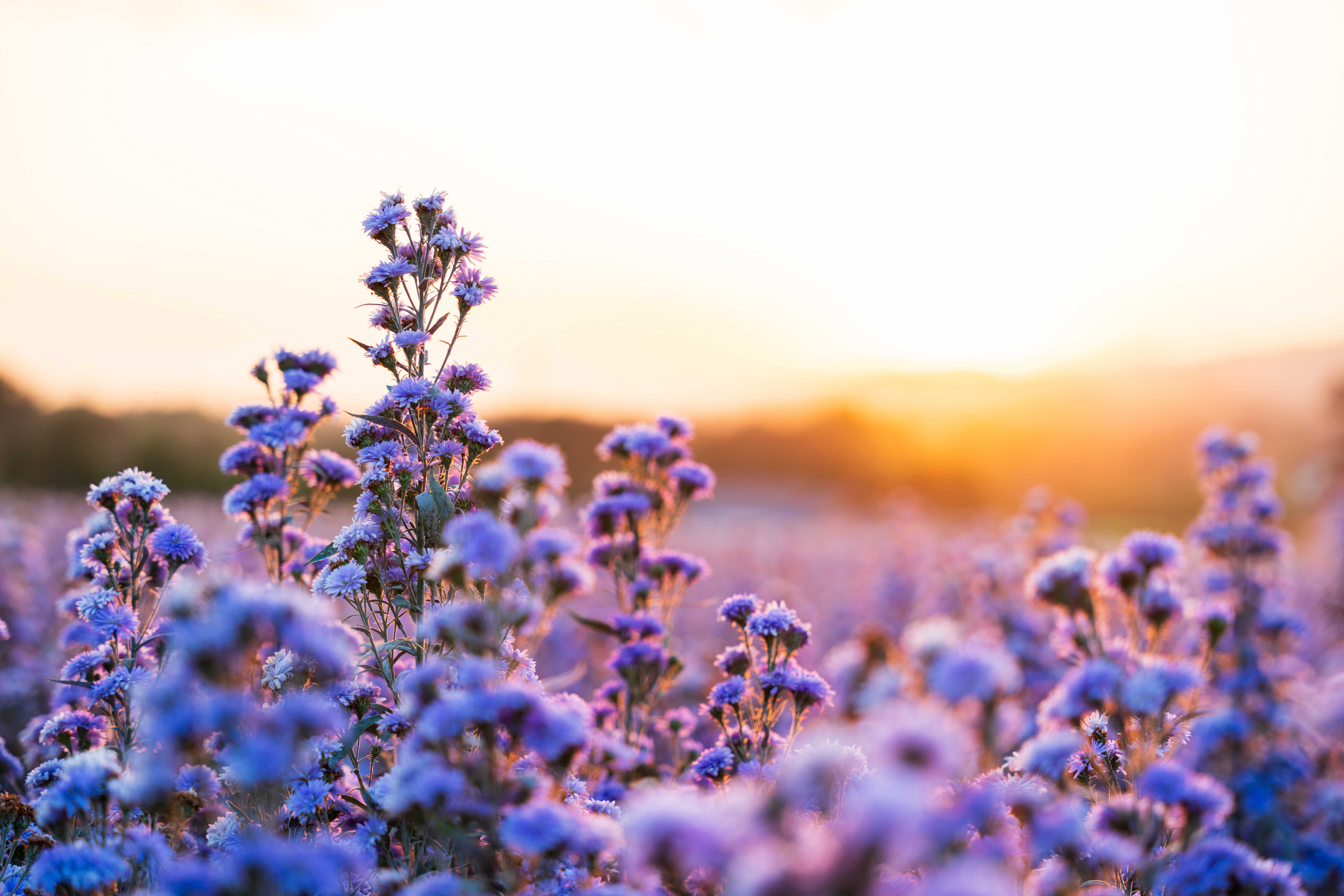 Agape Funeral Chapel & Crematory